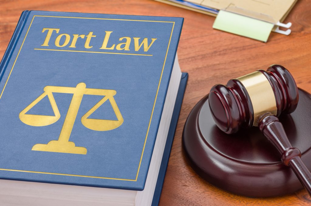 What is Tort Law? - Definition & System Examples | Valiente Mott